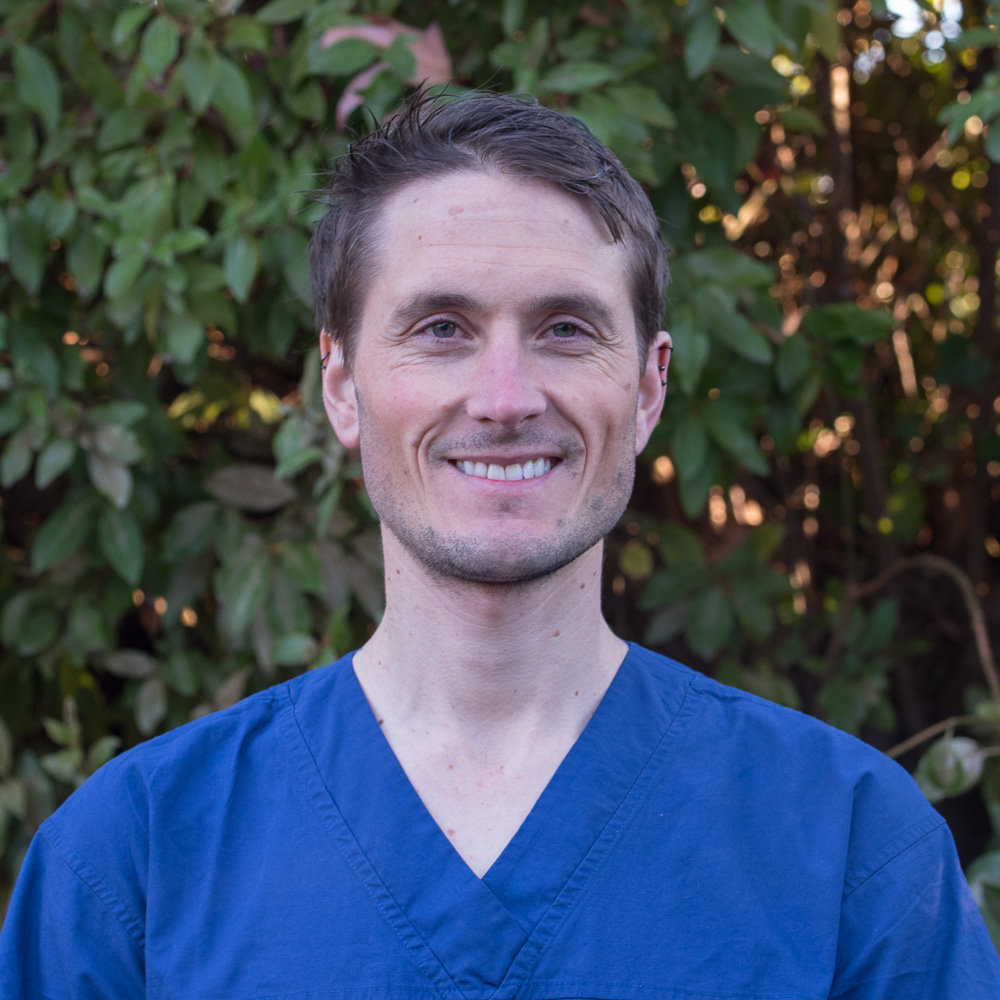 Dr Christopher Lewis